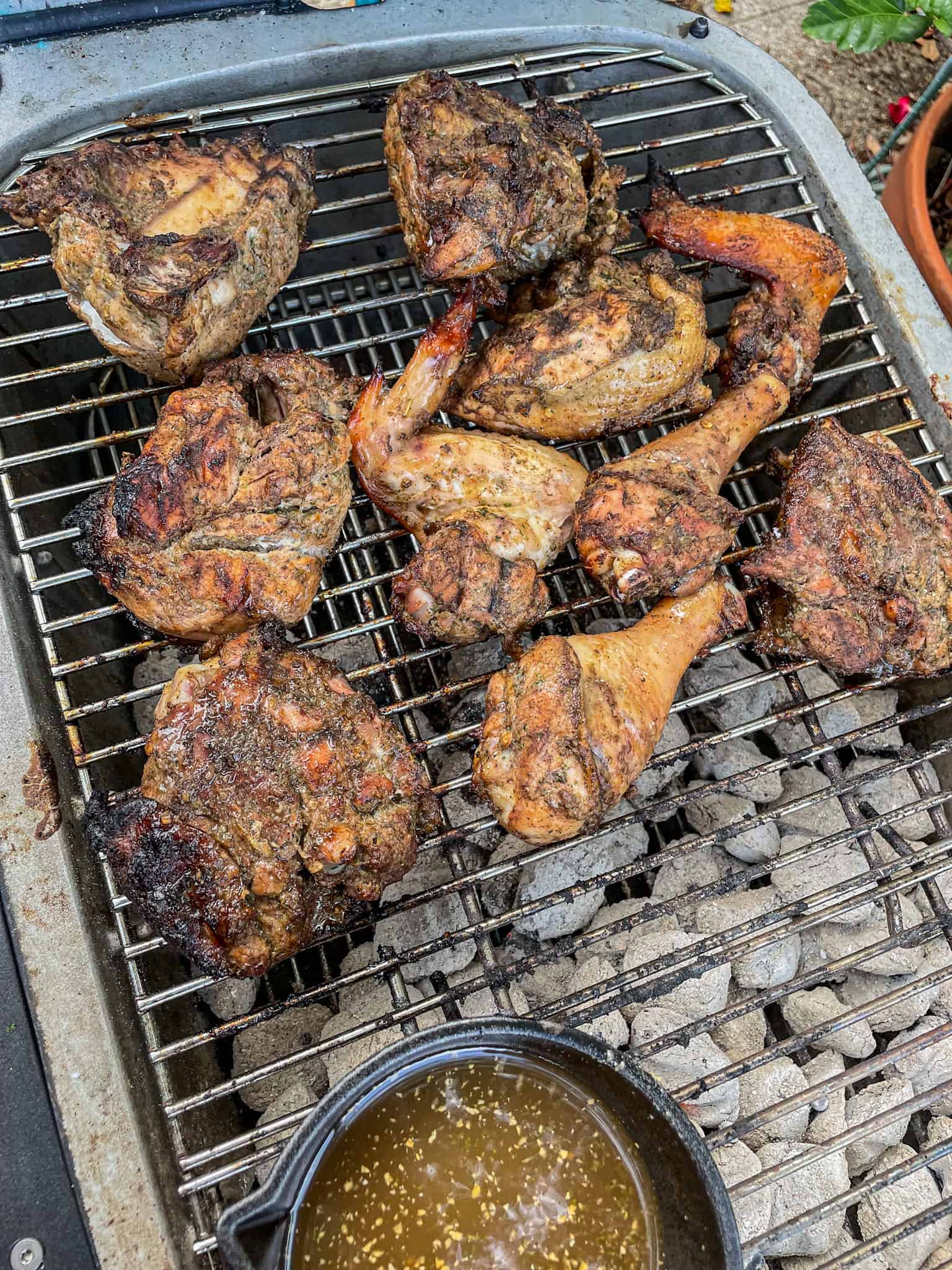 Grilled Jamaican Jerk Chicken - Beach Girl Grills