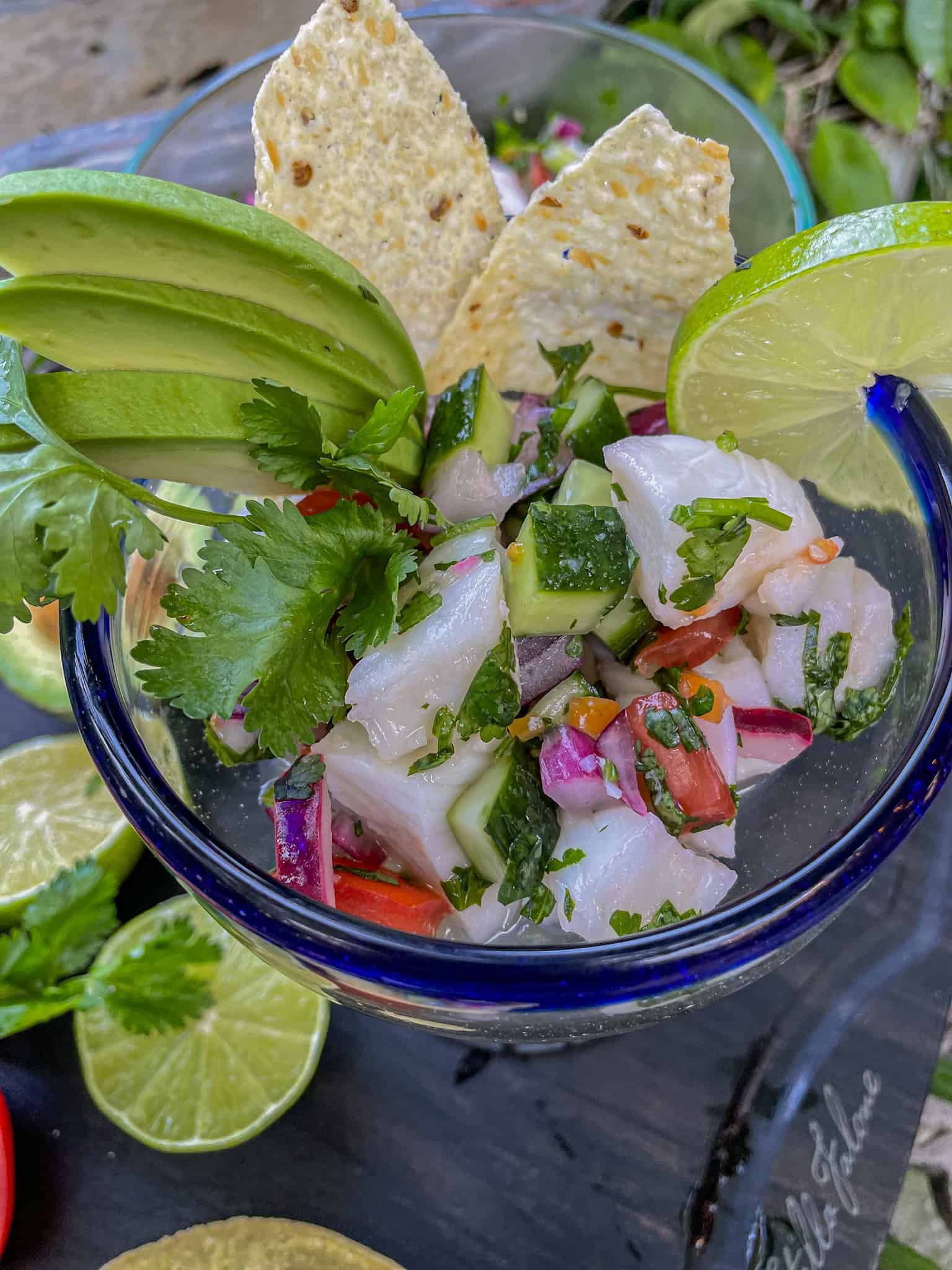 Halibut Ceviche - Beach Girl Grills
