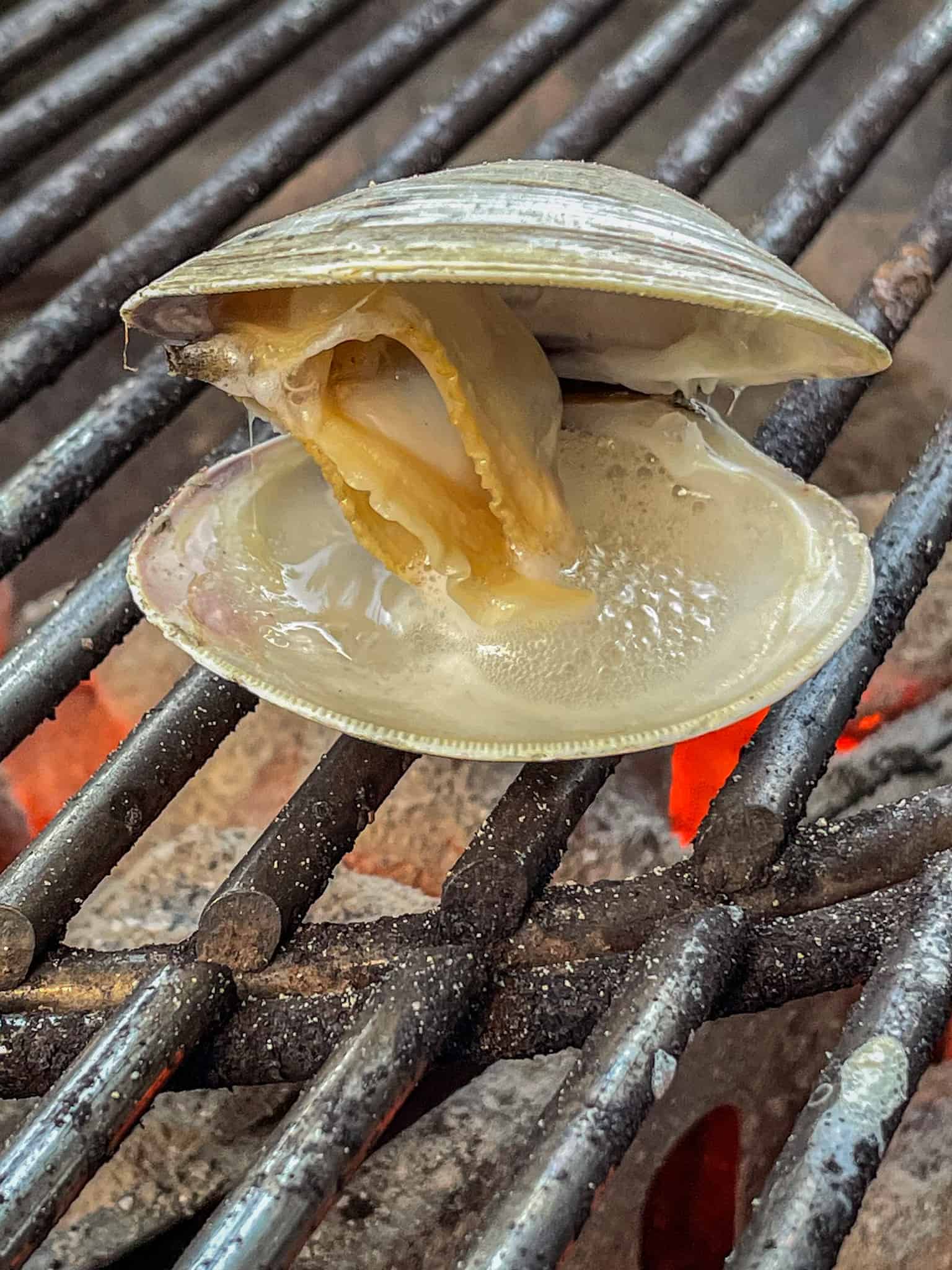 Grilled Clam Dip - Beach Girl Grills